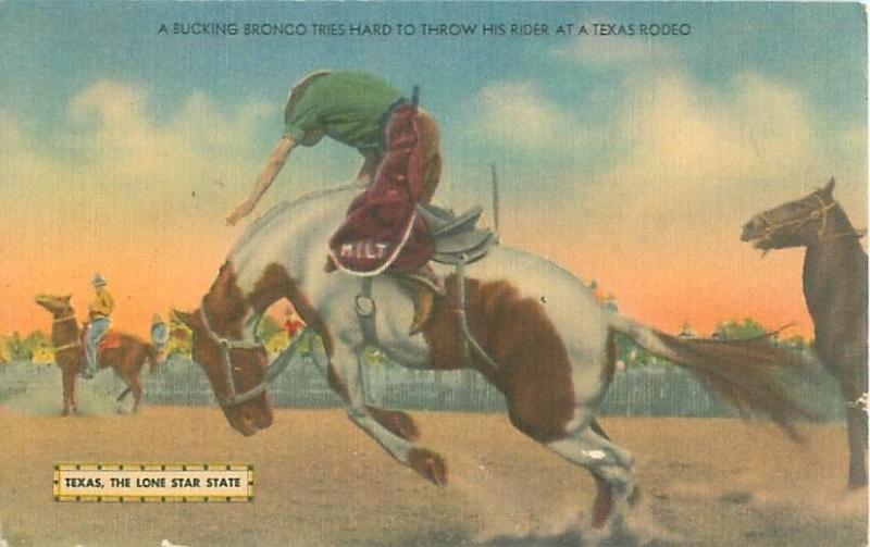 Vintage Cowboy Postcard