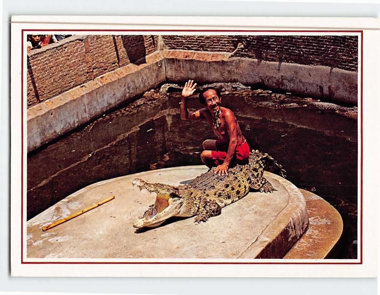 Postcard Crocodile & Crocodile Handler Samut Prakarn Province Thailand ...