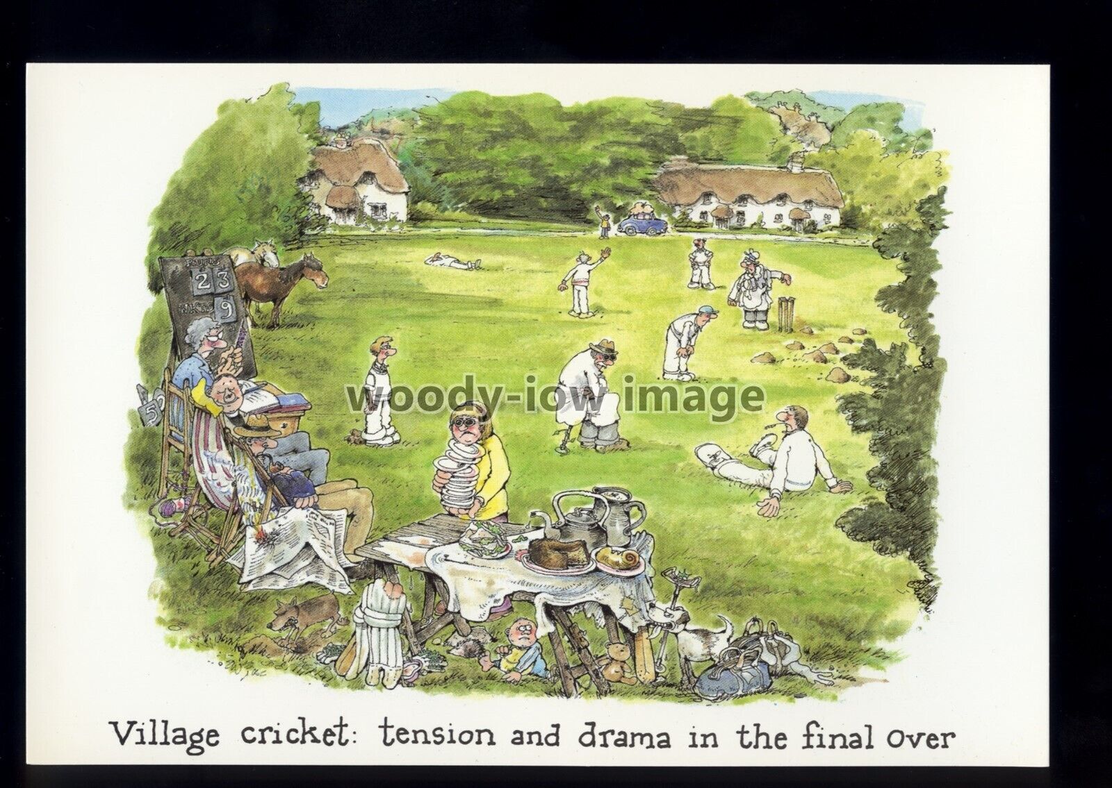 BES181 - Village cricket tension and drama - Besley large comic ...