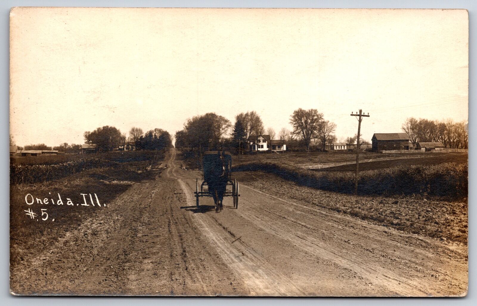 Oneida Illinois~Horse Drawn Carriage~Country Road Take Me Home~RPPC ...