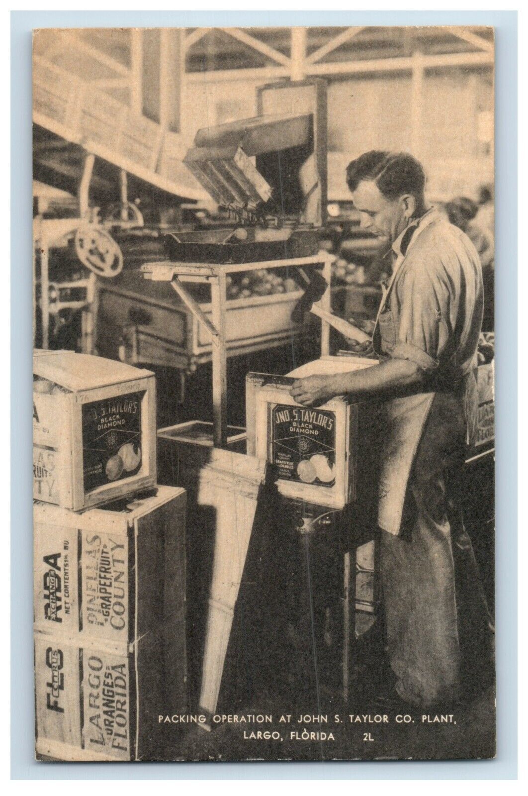 Vintage Workers Packing Dranges John taylor Largo, FL. Lot Of 6 ...