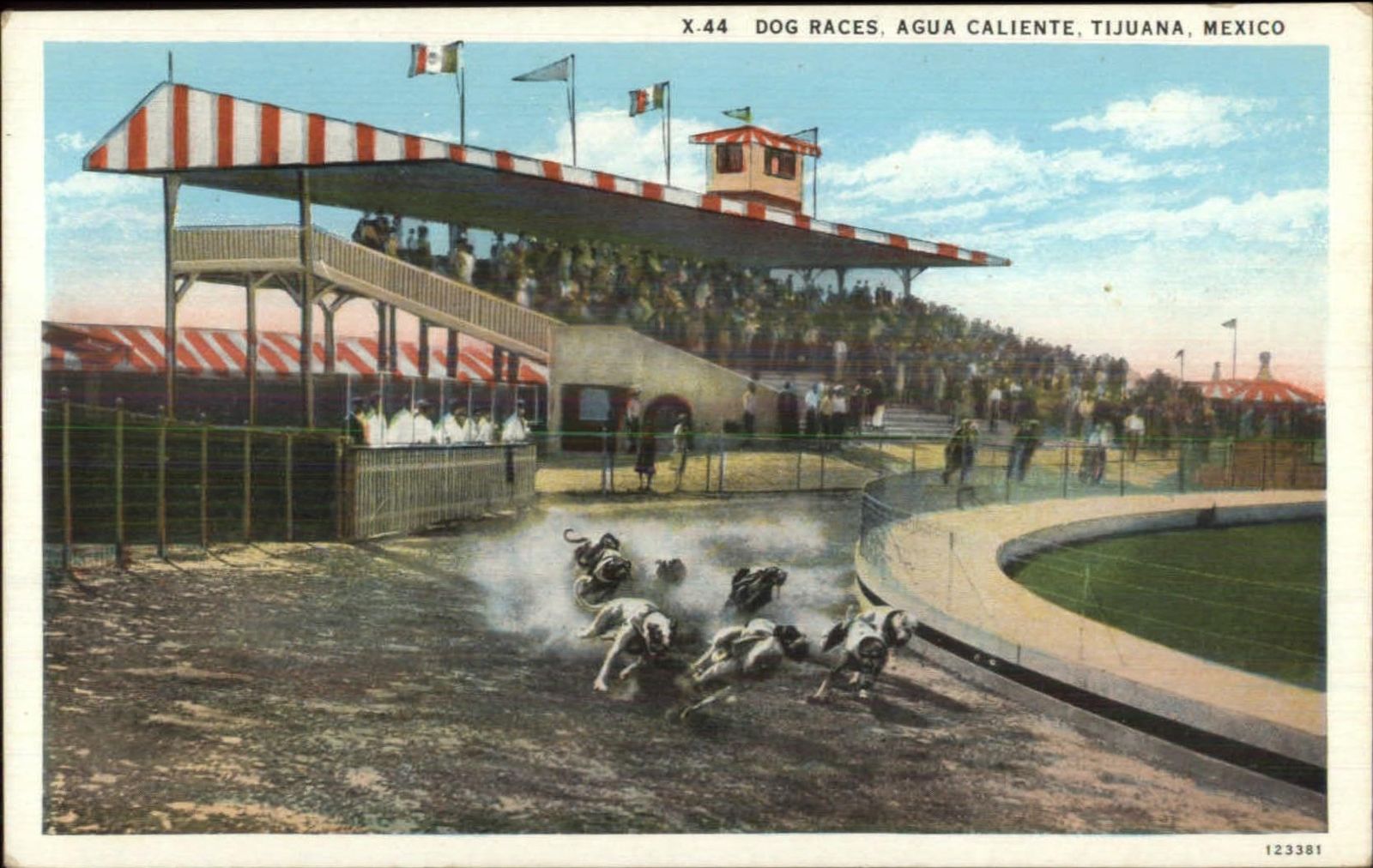 Tijuana Mexico Agua Caliente Dog Racing c1920 Real Photo Postcard ...