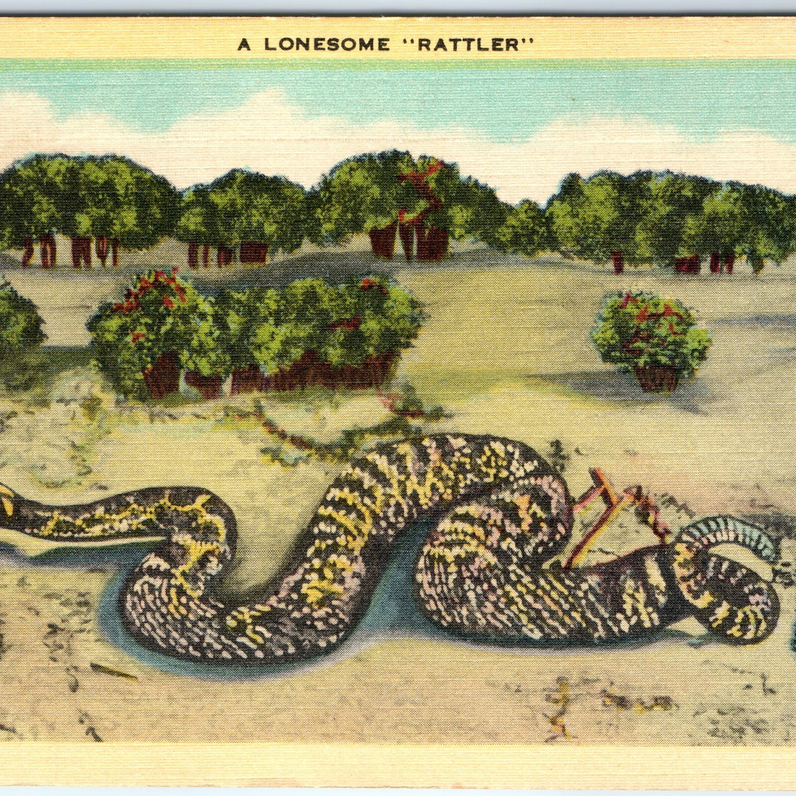 c1940s Lonesome Rattler Snake Art Illustration Linen PC Diamond ...