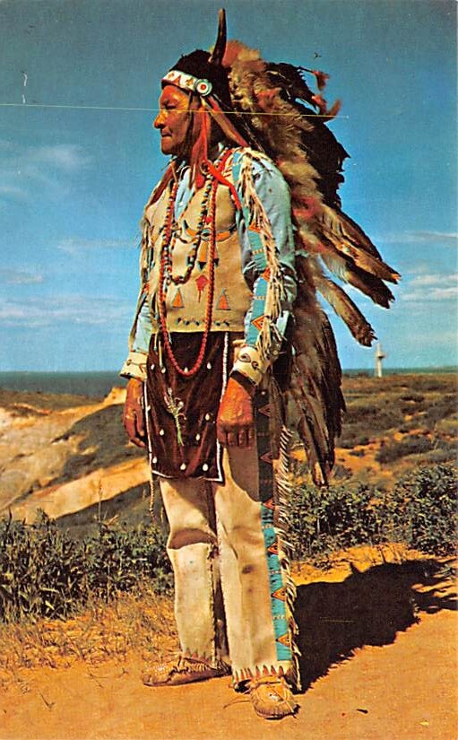 Chief Medicine Man Napoleon Madison of the Gay Head Indians Wampanoag ...