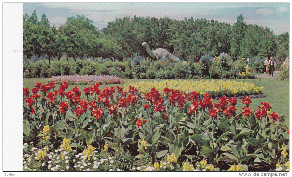 The Calgary Zoo, St. George´s Island, Zoological Gardens, "Dinny ...