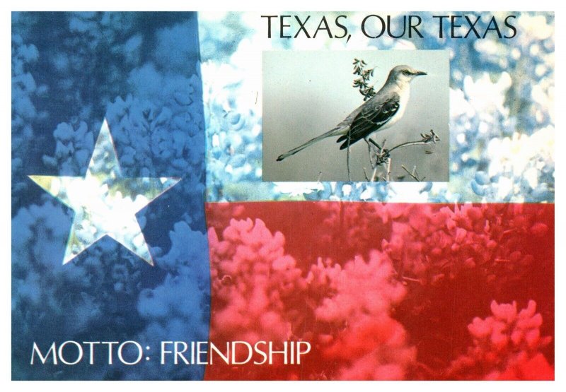 Texas State Flower Bluebonnet State Bird Mockingbird Multi View Chrome ...