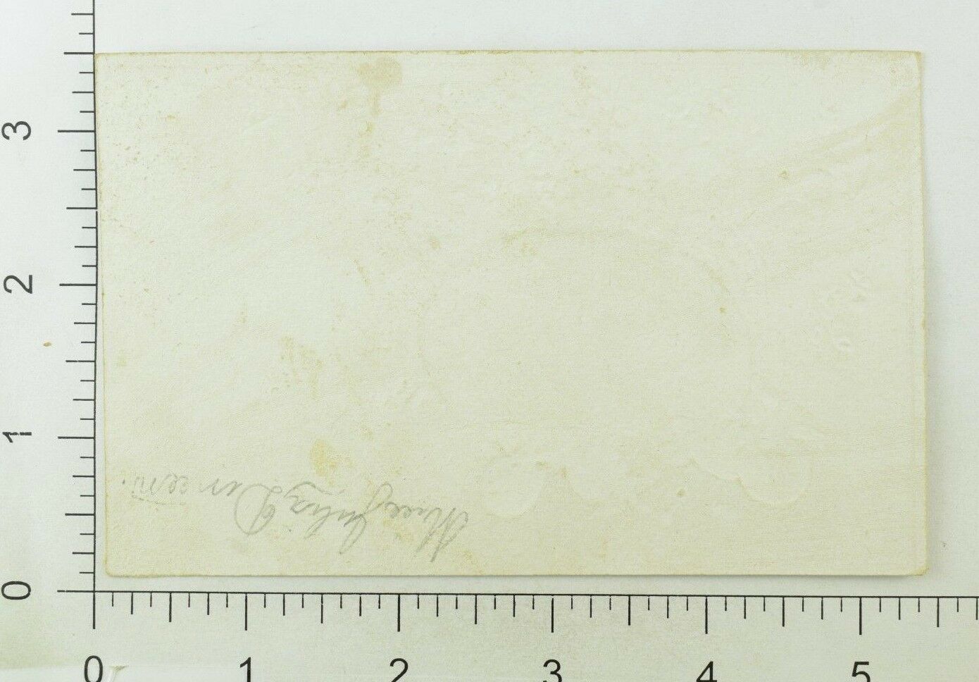 1880's Lovely Easter Egg Baby Birds Hatching Cat Victorian Trade Card ...