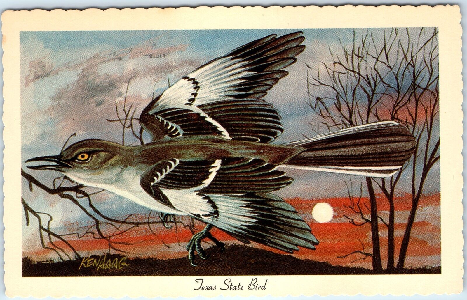 1967 TX Texas State Bird Mockingbird Sunset Spooky Ken Haag Painting ...