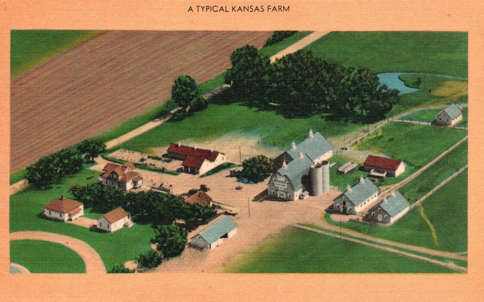 Vintage Postcard A Typical Kansas Farm Landscape Attesting To Soil ...