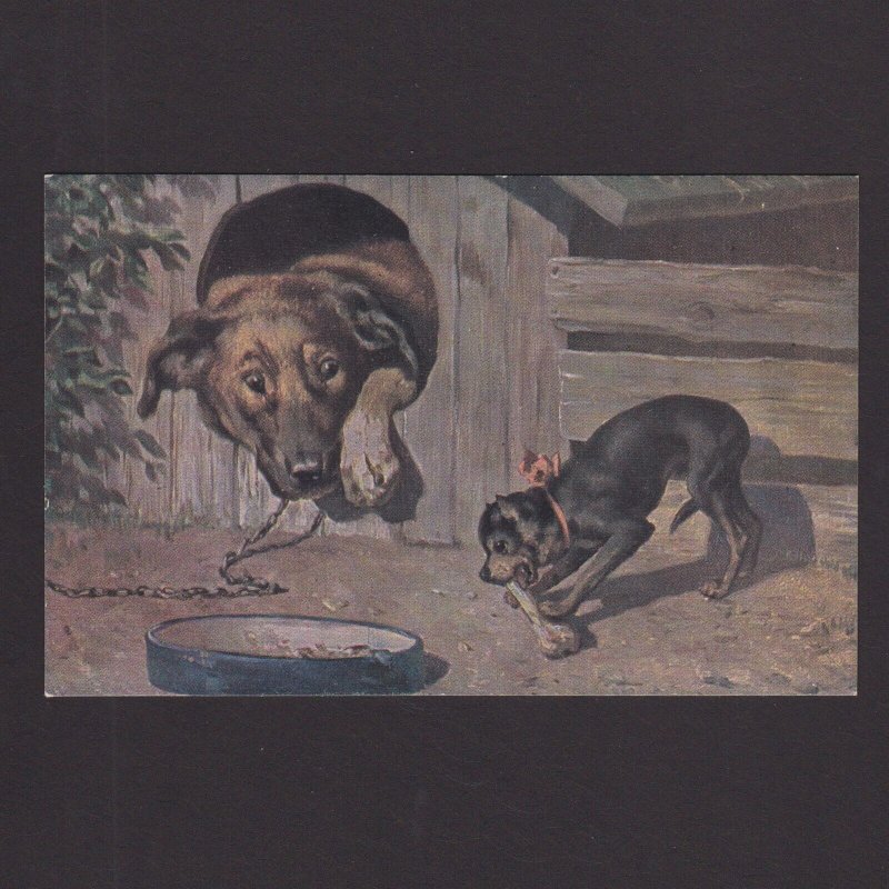 Vintage postcard, Two dogs, Bone Thief, Animals, Unposted | Other ...