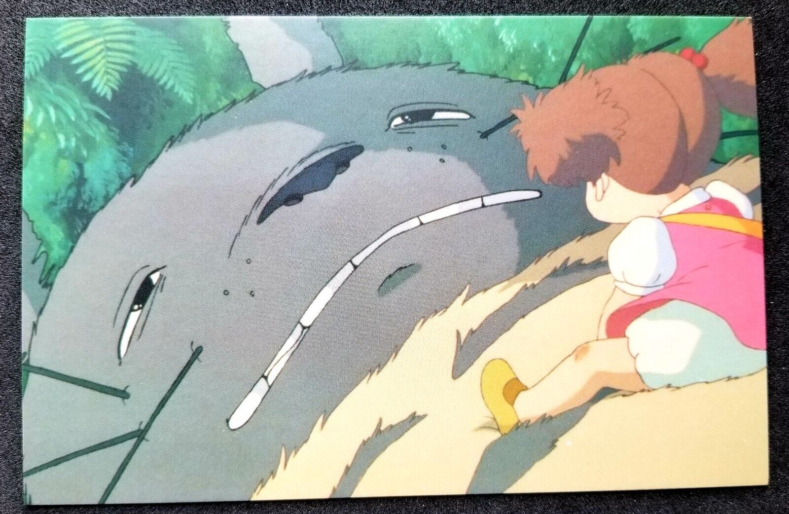 [AG] P481 Japan Hayao Miyazaki Animation Totoro Cartoon (postcard) *New ...