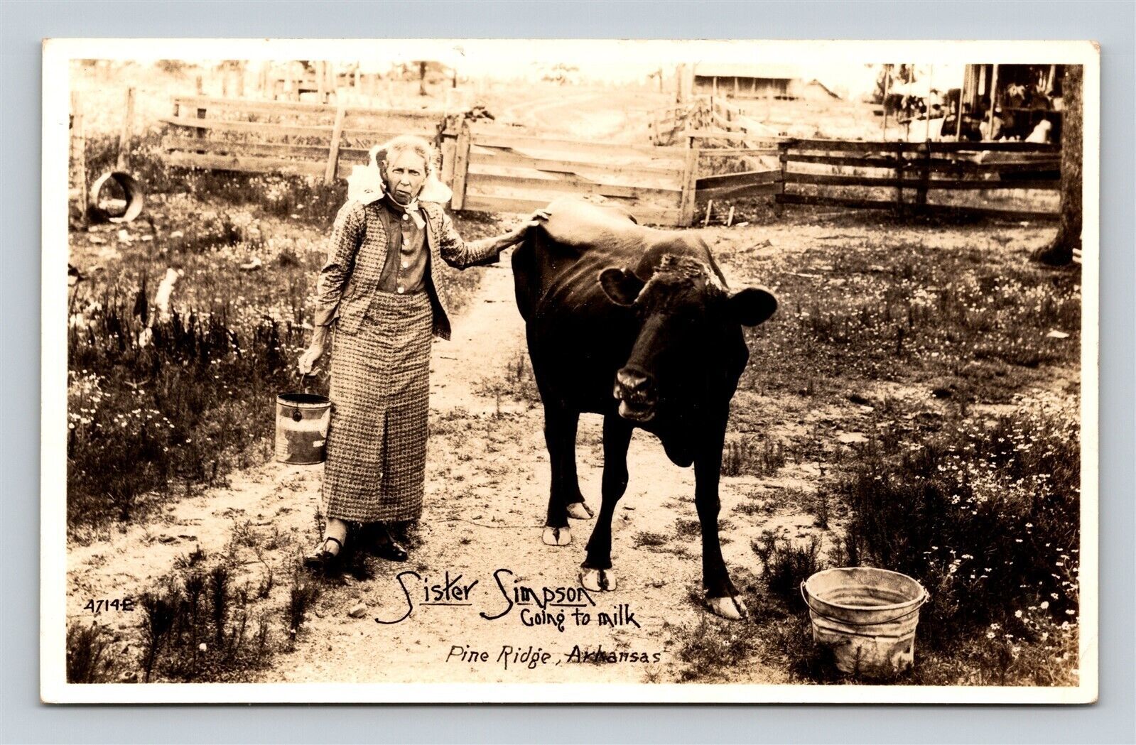 1940's RPPC Pine Ridge AR Arkansas Sister Simpson Going To Milk Cow ...