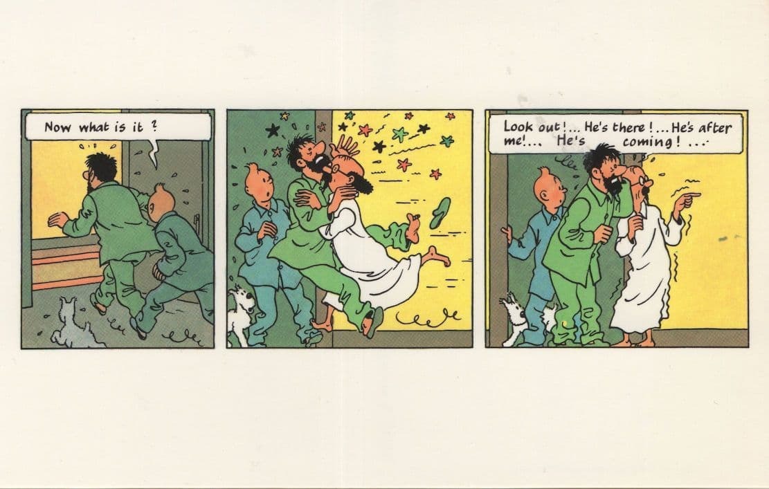 Tintin With Mad Asylum Man Chased French Comic Strip Postcard | Topics ...