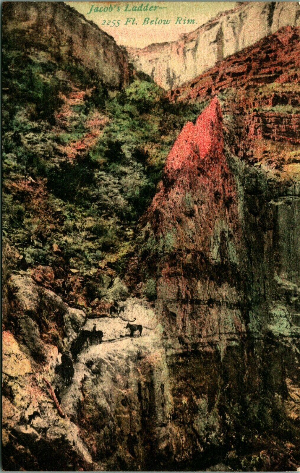 Jacob's Ladder Grand Canyon Arizona AZ UNP DB Postcard Verkamp Pub M12 ...