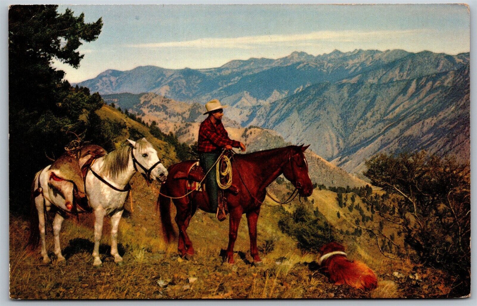 Vtg Western Deer Hunter Cowboy on Horseback Deer on Horse Hunting Dog ...