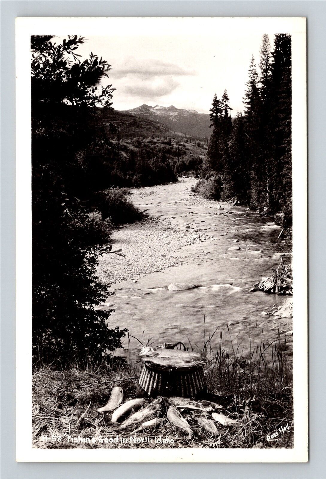 1940's RPPC Fishing Catch North Idaho ID Ross Hall Photo Postcard ...