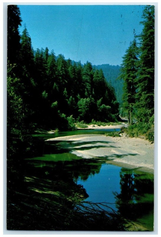 1971 Redwoods Eel River Humboldt Redwoods State Park Washington DC ...