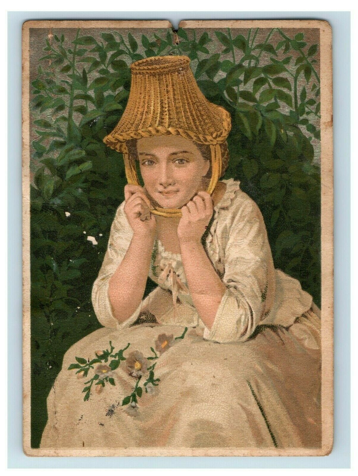 1880's-90's Quack Medicine Scott's Ayer's Hoods Dr. Jayne Fab! Lot Of 6 ...