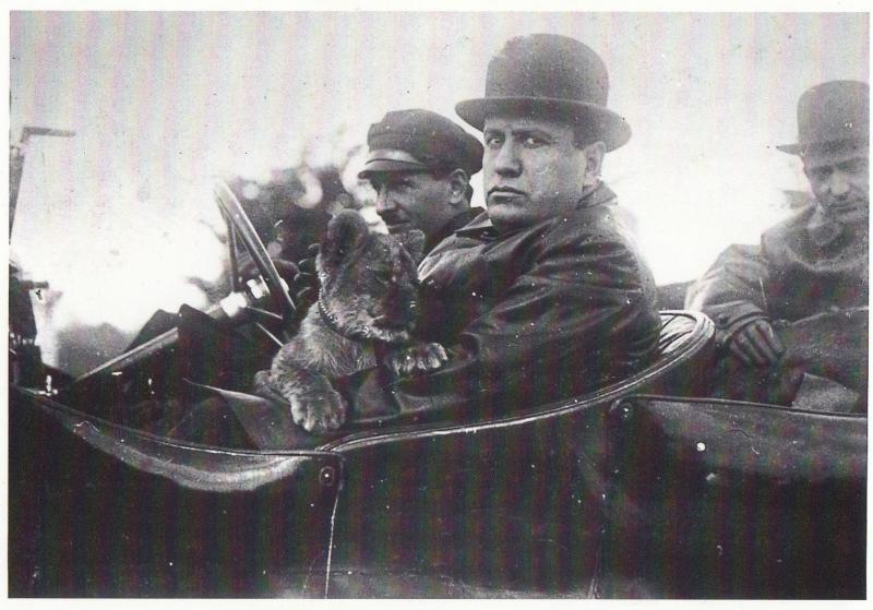 Mussolini With Aldo Finci Pet Tiger Cub Lion Fascism Art Photo Postcard ...