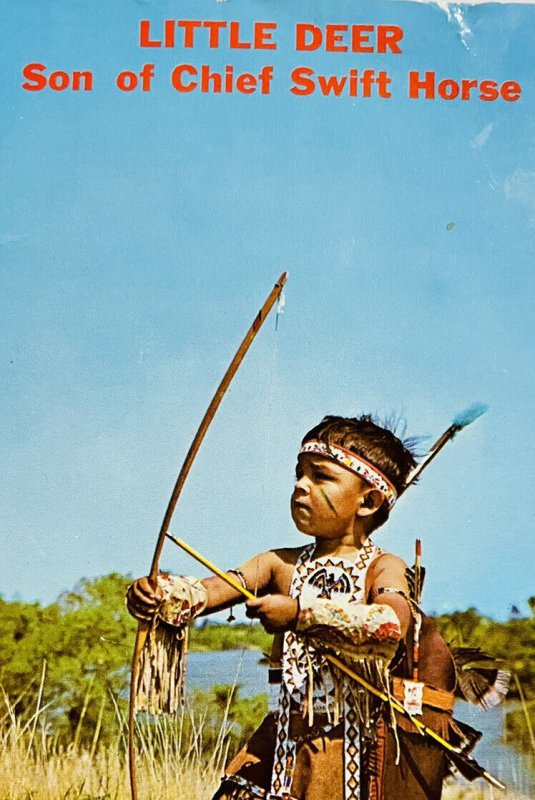 Vintage post card Native American Indian Boy Swift Horse Little Deer ...