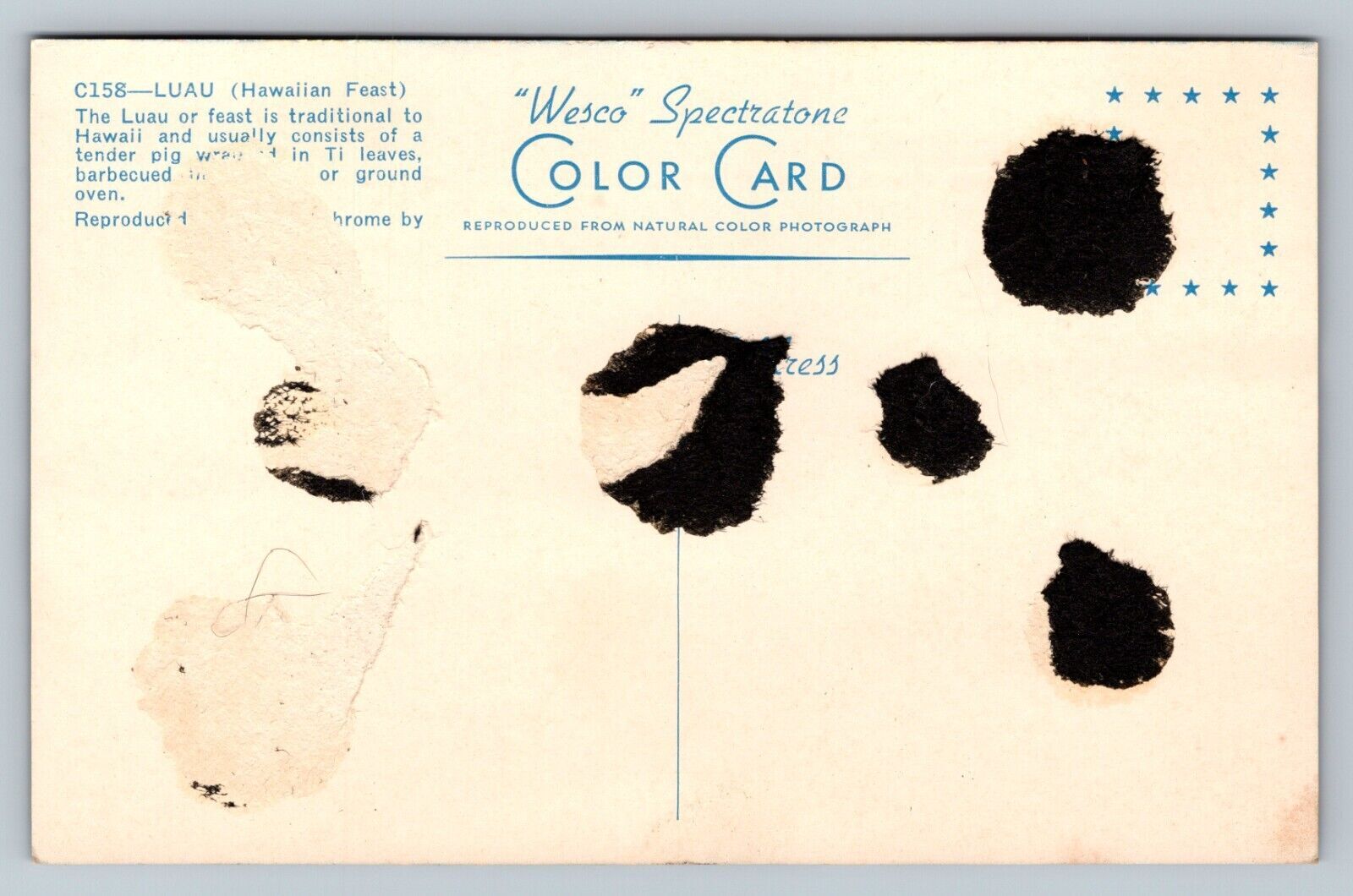 Luau Hawaiian Feast In Hawaii Vintage Postcard Wesco Spectratone Color ...