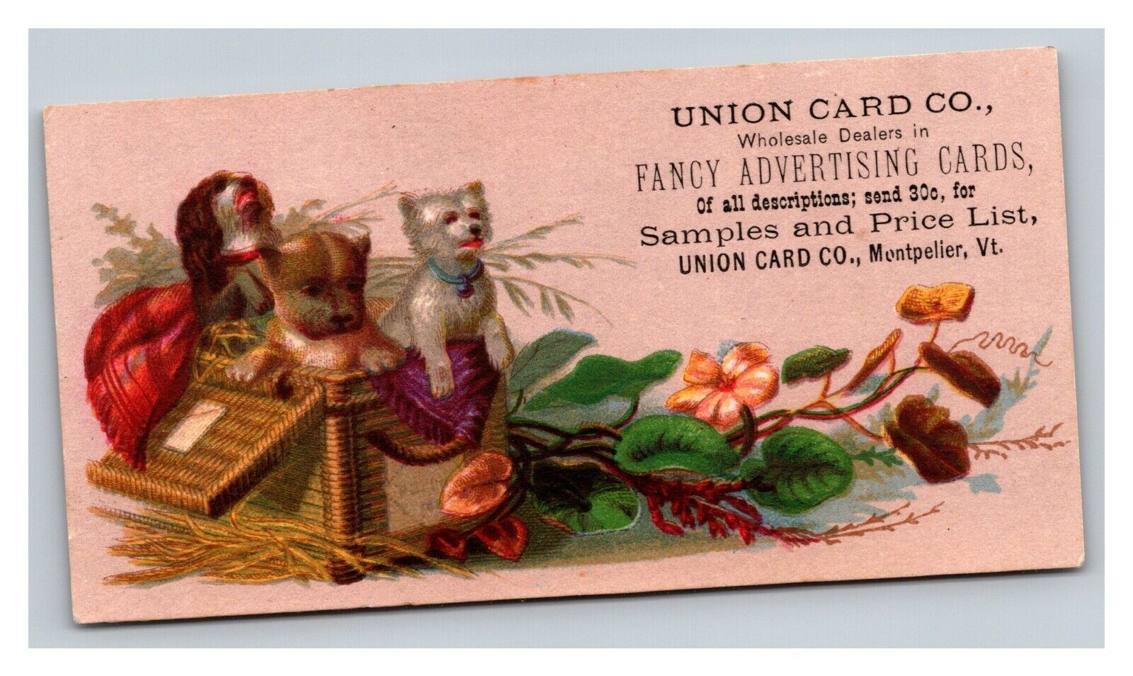 Vintage 1880's Victorian Trade Card Union Card Co Advertising Card ...