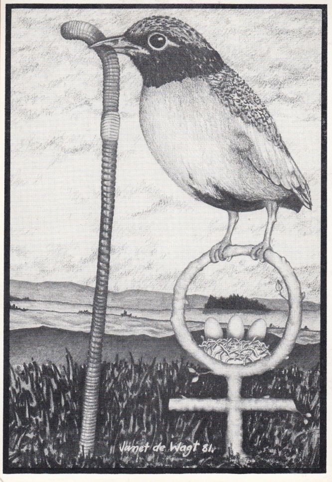 Women Are Worms Germ Ridden Anti Woman Comic Postcard | Topics - Other ...