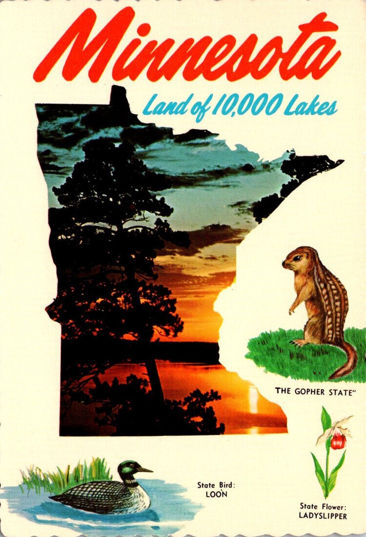 Minnesota The Gopher State With Map State Bird and State Flower ...