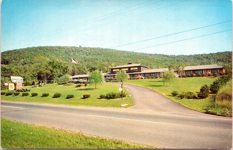 1960s Vestal NY Postcard Vestal Motel FC | United States - New York ...
