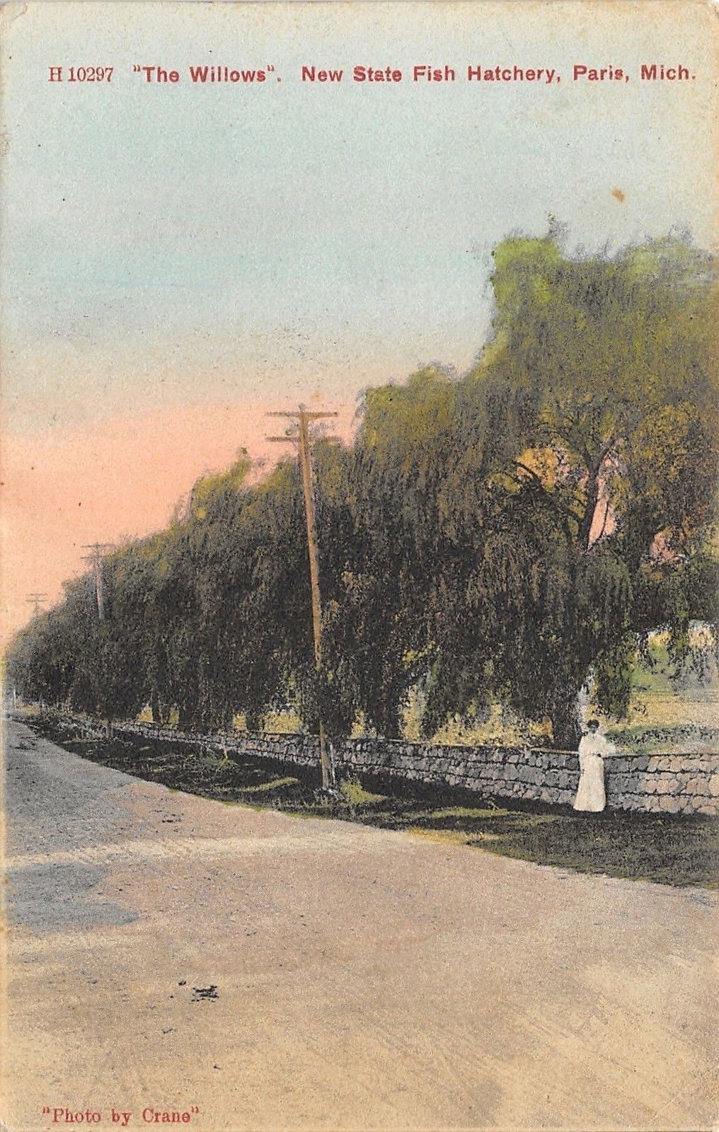 Paris Michigan~Willow Trees~State Fish Hatchery Road~Victorian Lady on ...