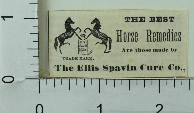 1870's Victorian Print Ad The Ellis Spavin Cure Co. Best Horse Remedies ...