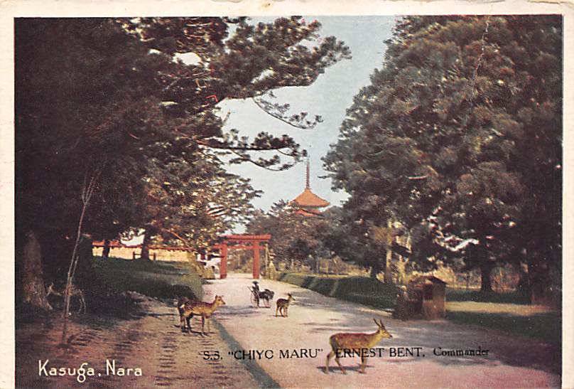 Chiyo Maru Misc Japan Line Toyo Kaisen Kaisha Ship | Topics - Other ...