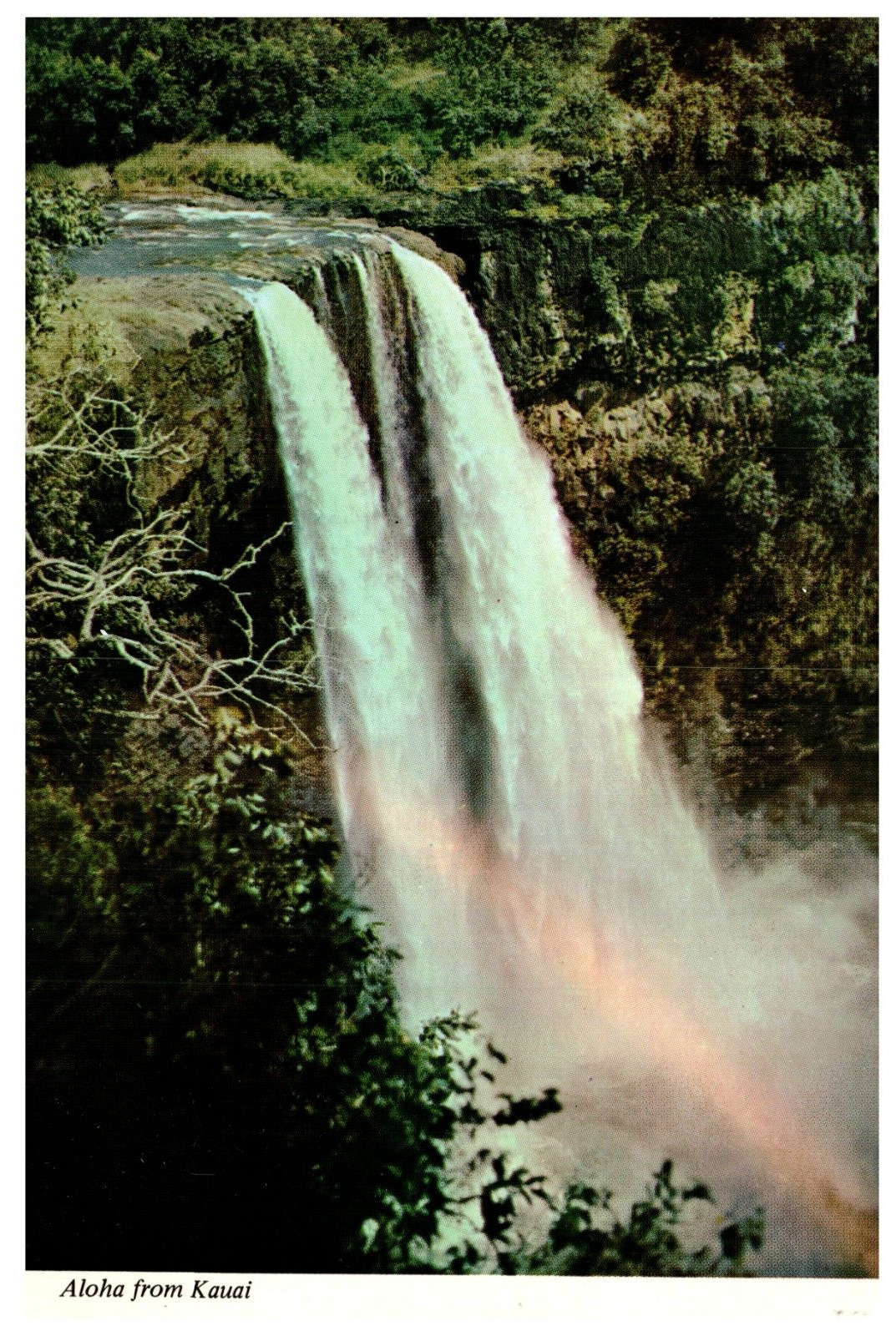 Postcard Wailua falls waterfalls Kauai Hawaii 200 foot drop into a deep ...