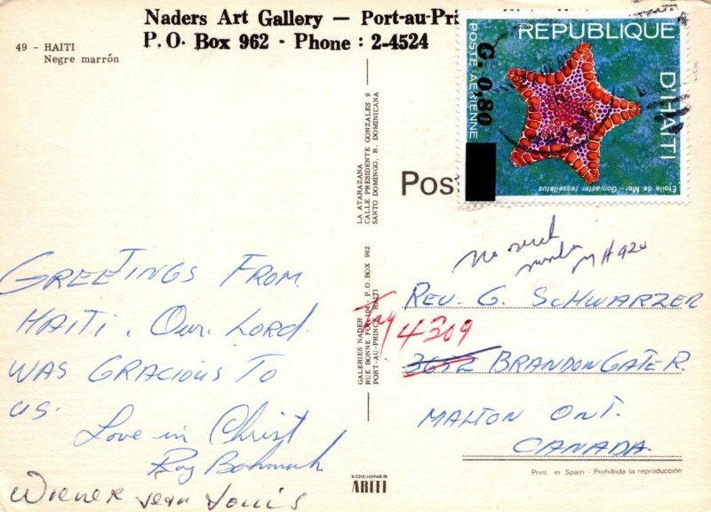 Vintage Continental Size Postcard Negre Marron Port-Au-Prince Haiti ...