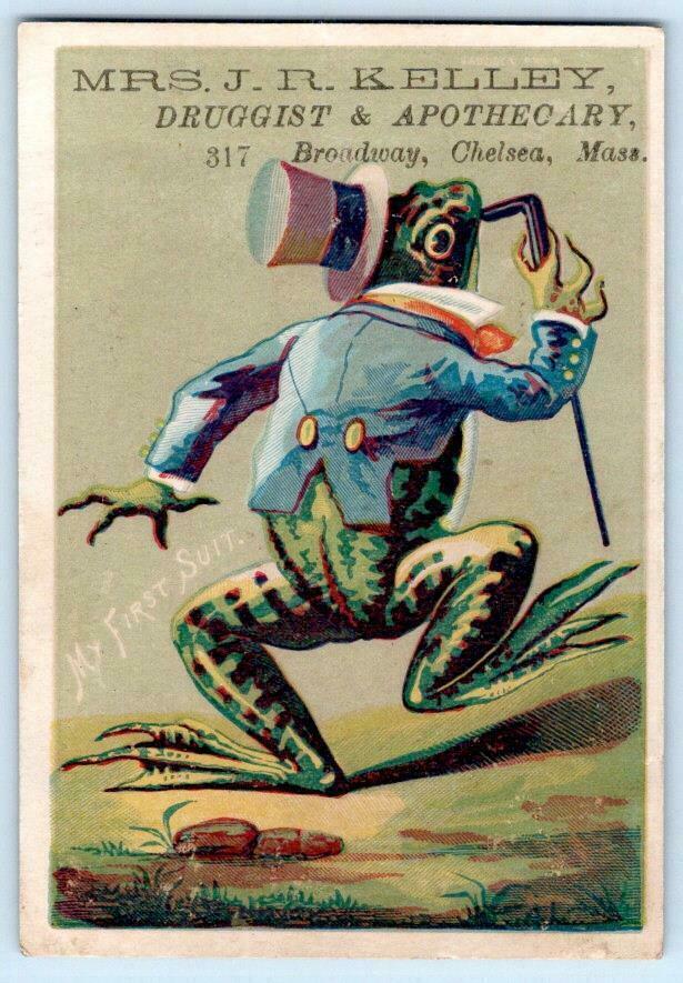 Anthropomorphic Frog MY Finest Suit MRS Kelley Apothecary Chelsea MA ...