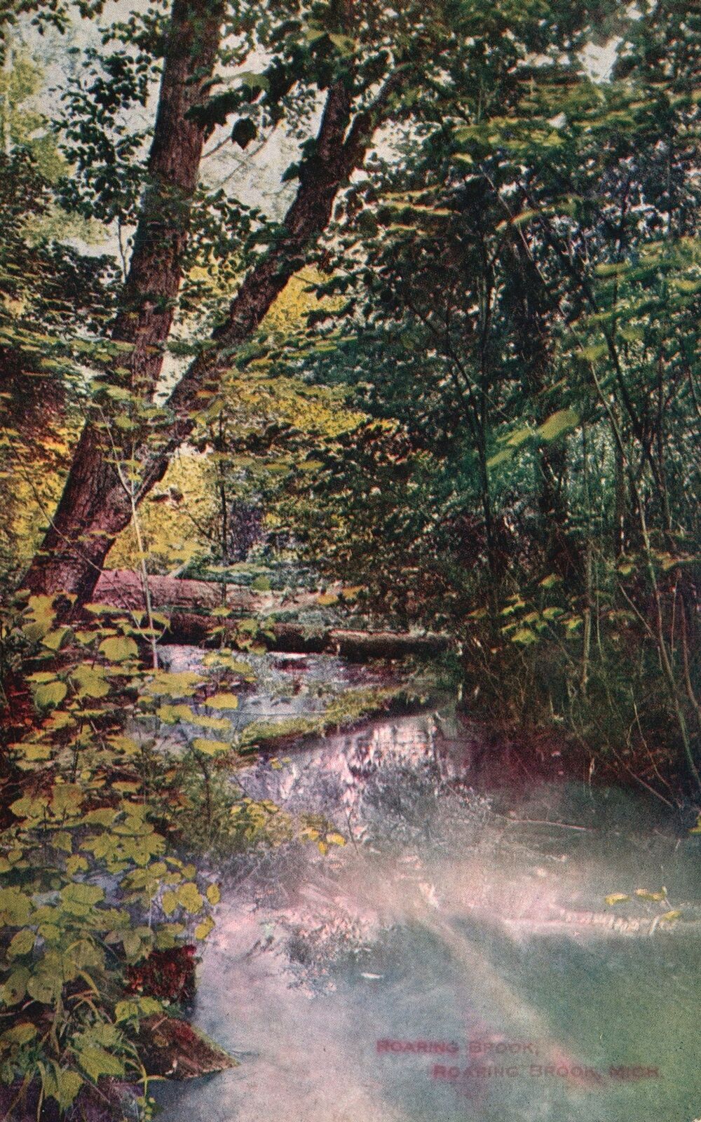 Vintage Postcard 1910's Waterfalls Forest Trees Nature View Roaring ...