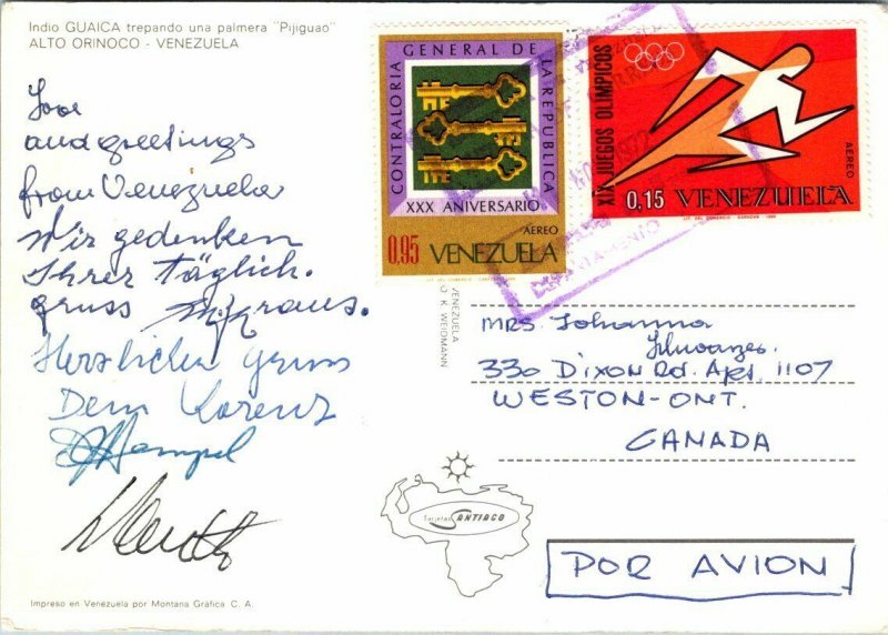 Vintage Continental Size Postcard Guaica Native Indian "Pijguao" Trees ...