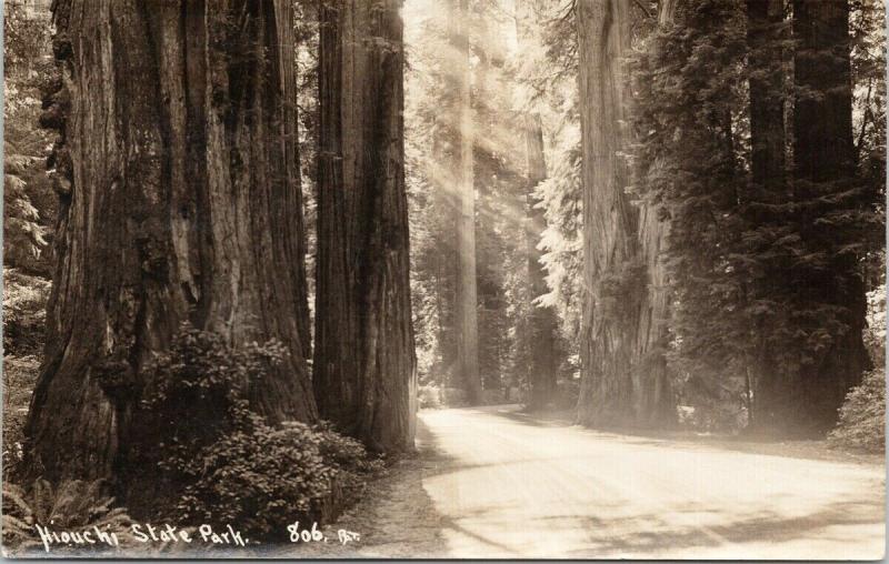 Hiouchi State Park California CA Redwood Trees c1939 Real Photo ...