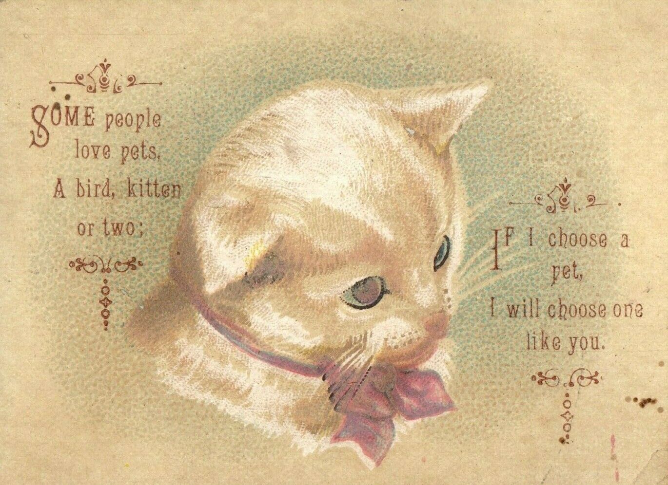 1870s-80s Lovely Adorable White Kitten Cat Bow Poem Victorian Card F21 ...