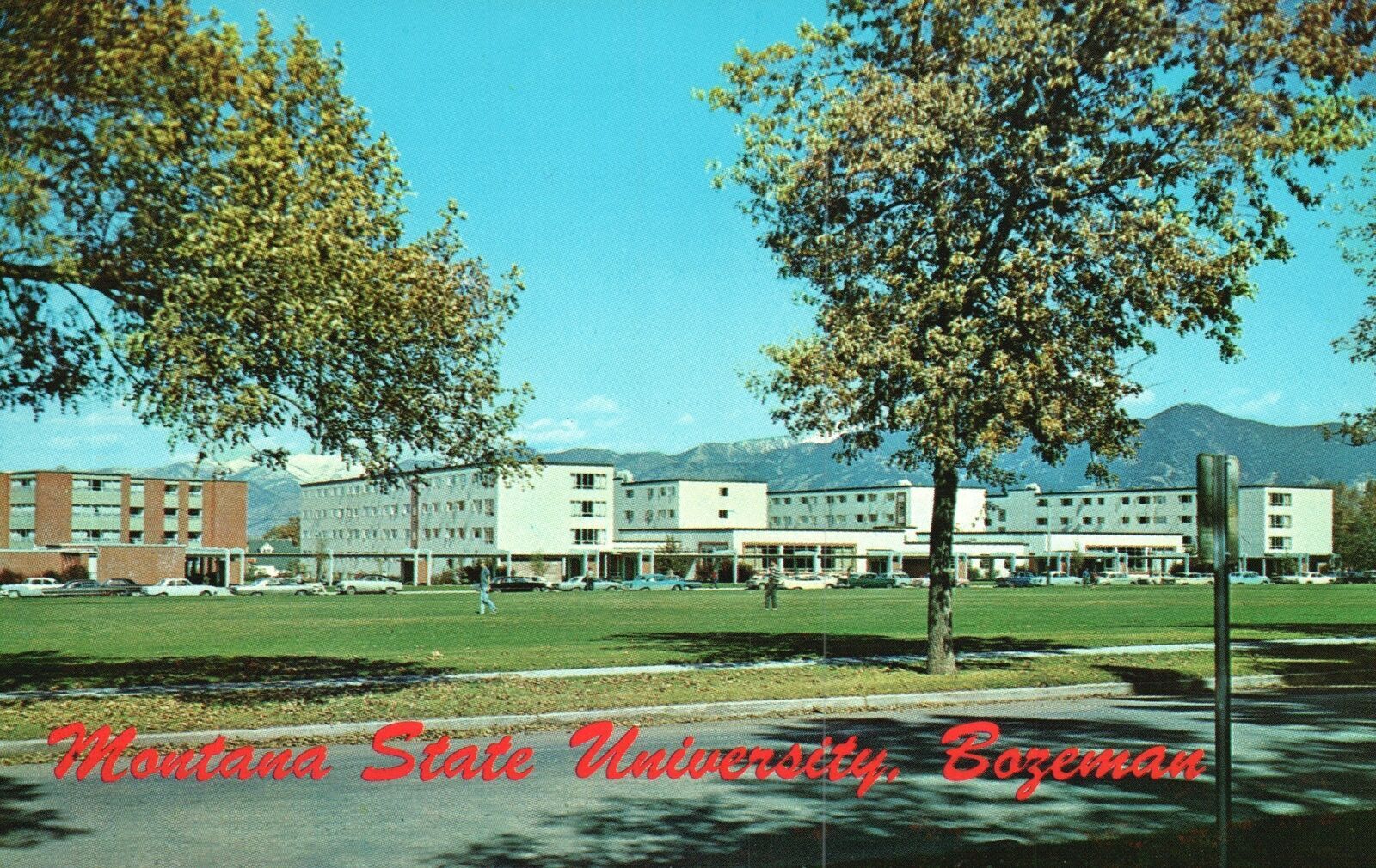 Lewis & Clark Halls Montana State University Bozeman Montana Vintage ...