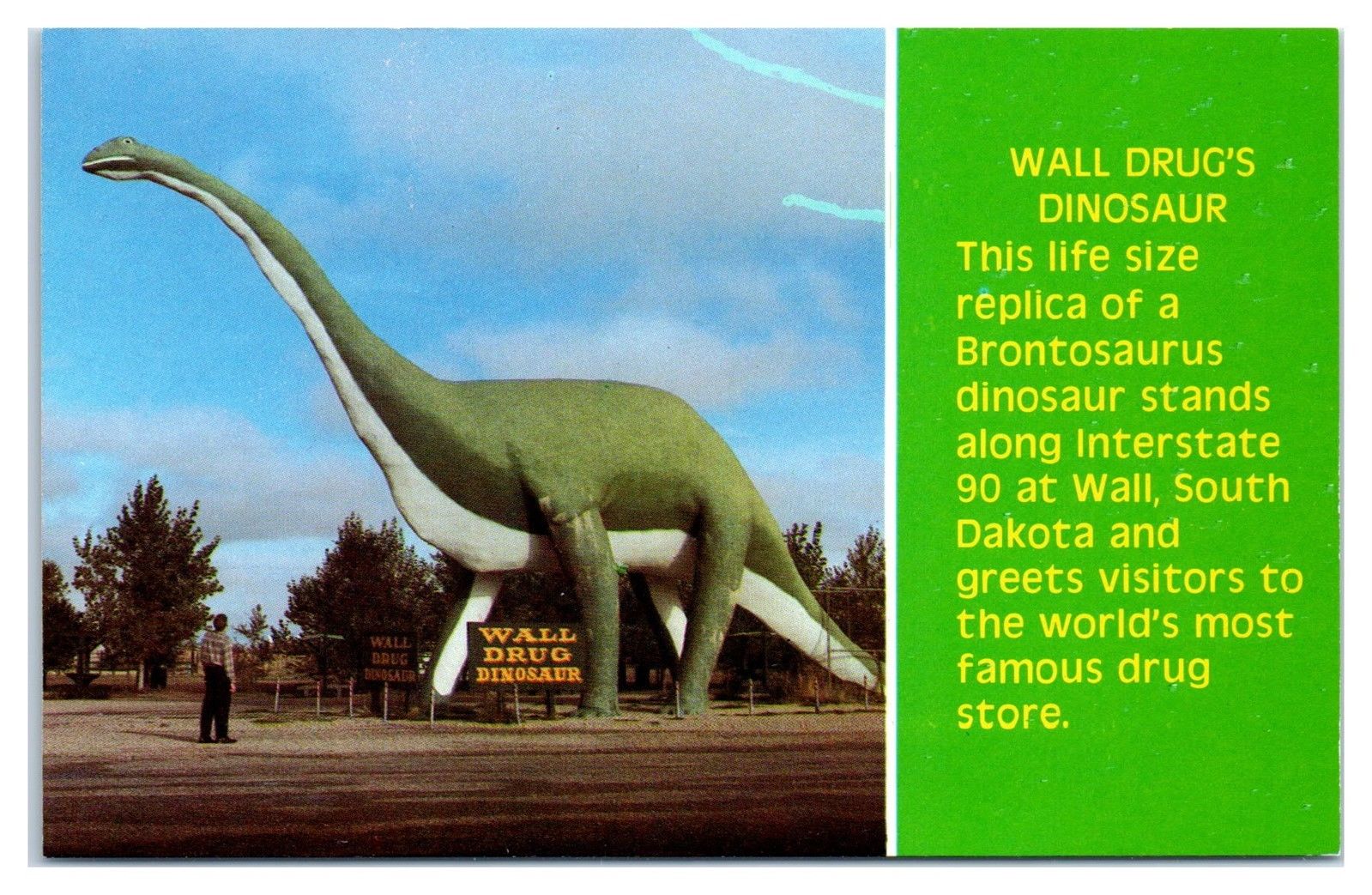 1950s/60s Wall Drug, SD Dinosaur Brontosaurus Postcard | United States ...