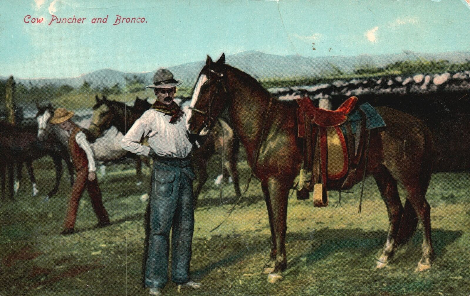 Vintage Postcard 1908 Cow Puncher And Bronco Cowboys Illustrated Post ...