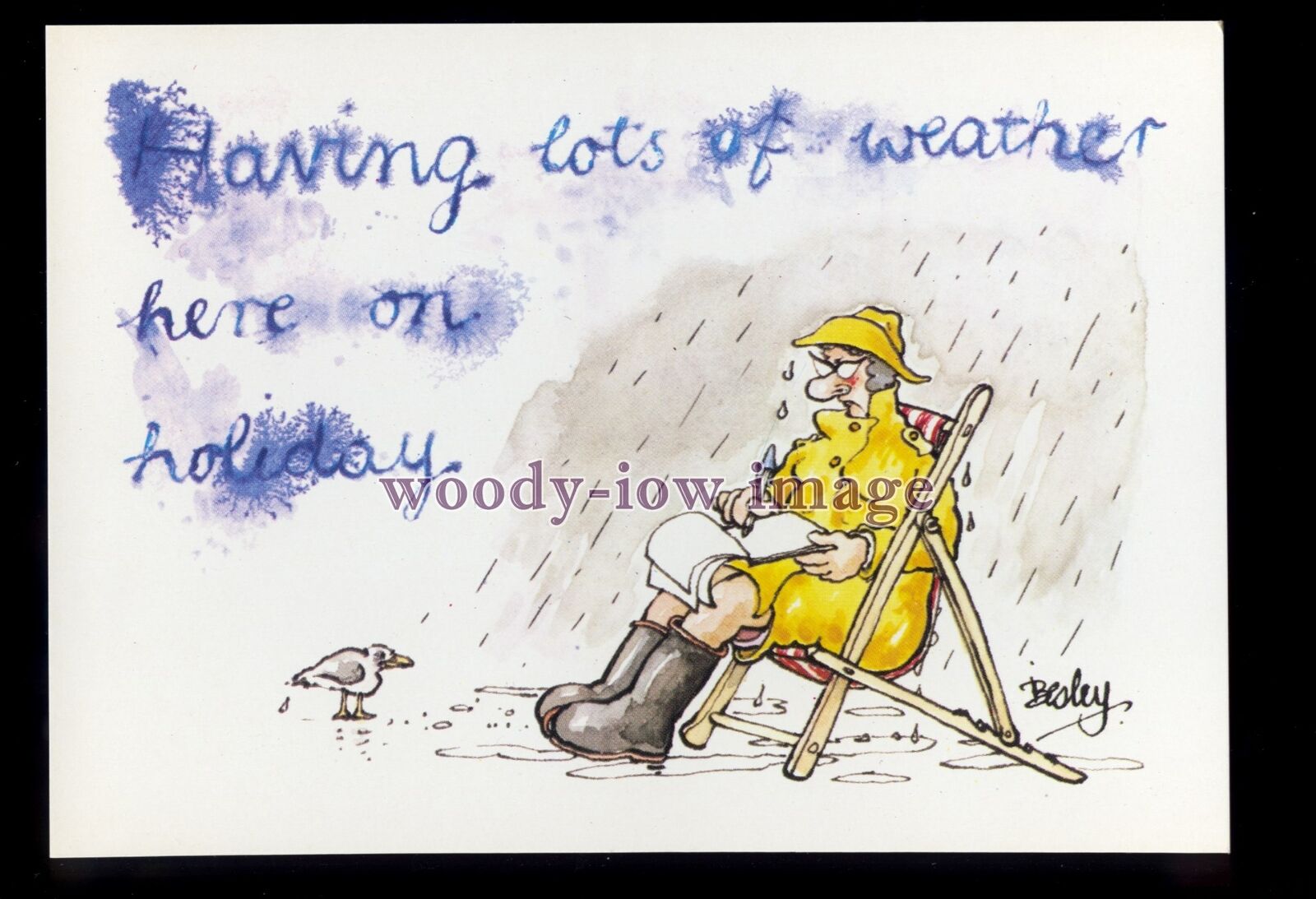 BES100 - Having lots of Weather here on Holiday!!! - comic postcard by ...