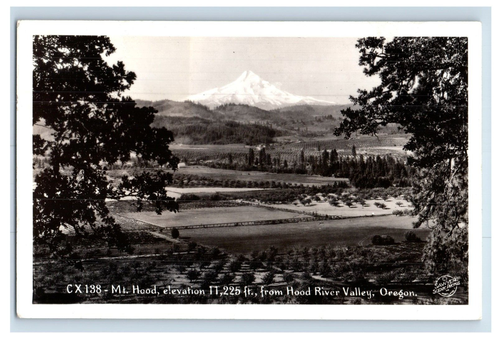 Vintage RPPC Mt. Hood From Hood River Valley Oregon. P203E | United ...