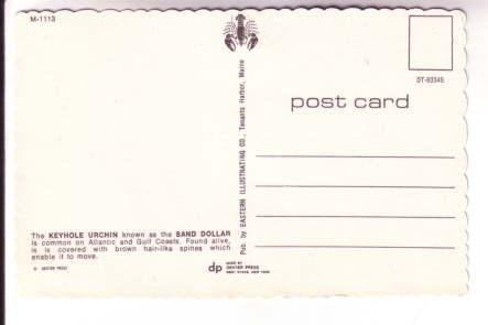 Keyhole Urchin, Poem Legend of the Sand Dollar, 1954, | Topics ...