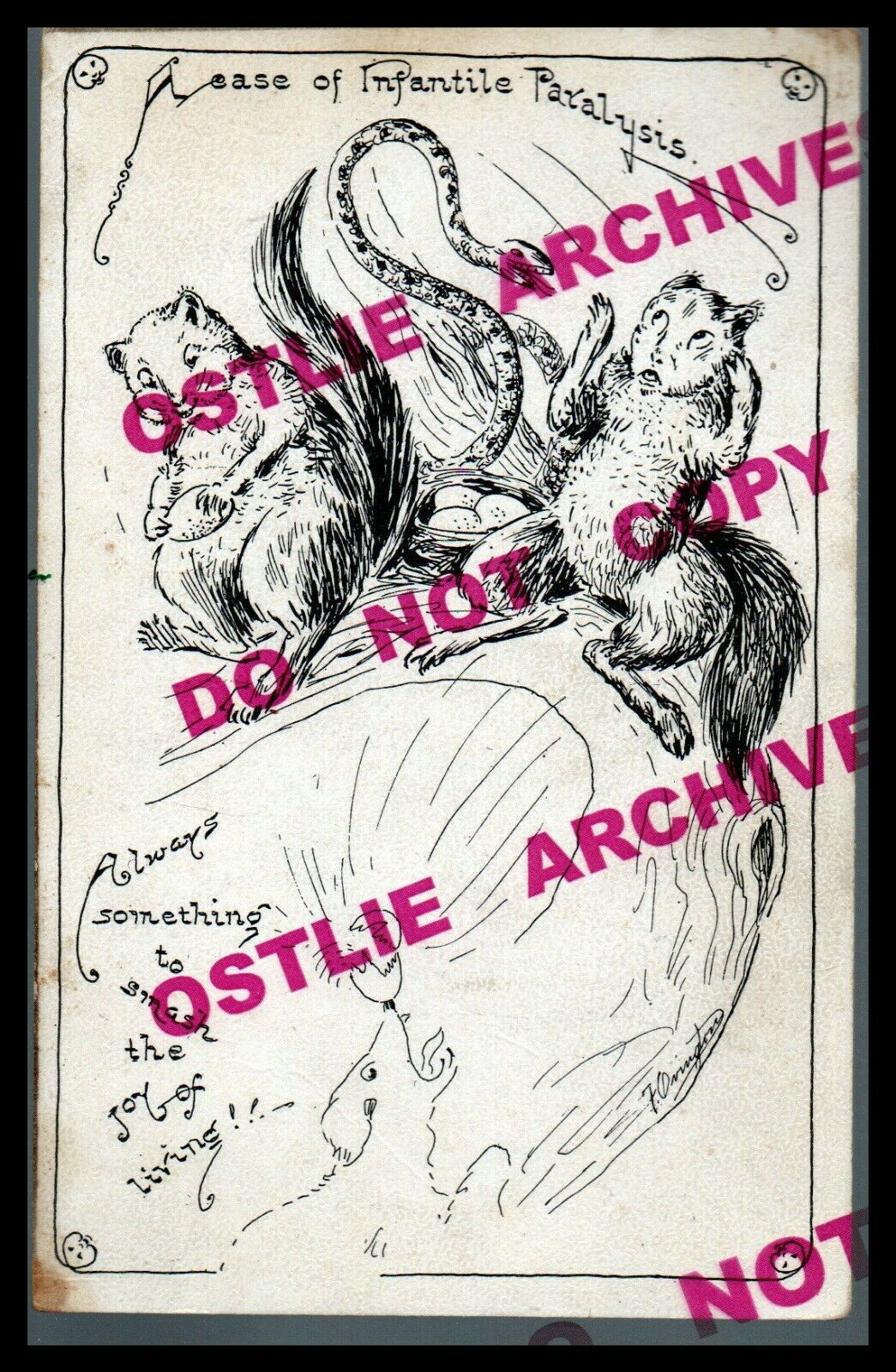 C1910 Polio Card Comic Infantile Paralysis Pun Epidemic Social History ...