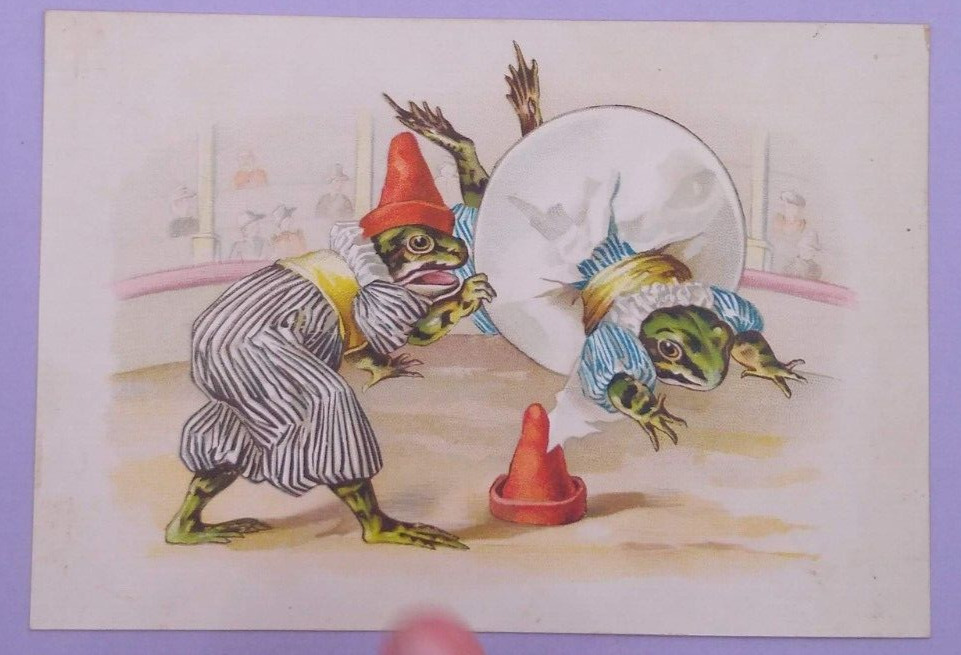 1880s-1890s Anthropomorphic Dressed Frogs At Circus Victorian Trade ...