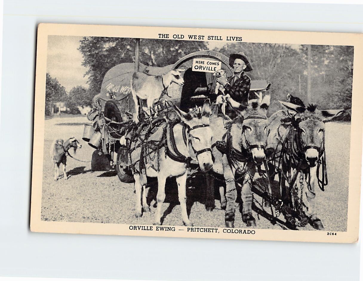 Postcard The Old West Still Lives, Orville Ewing, Pritchett, Colorado ...