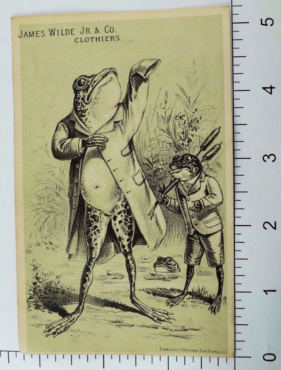 1870's-80's James Wilde Jr. & Co Clothiers Anthropomorphic Frogs Pond ...