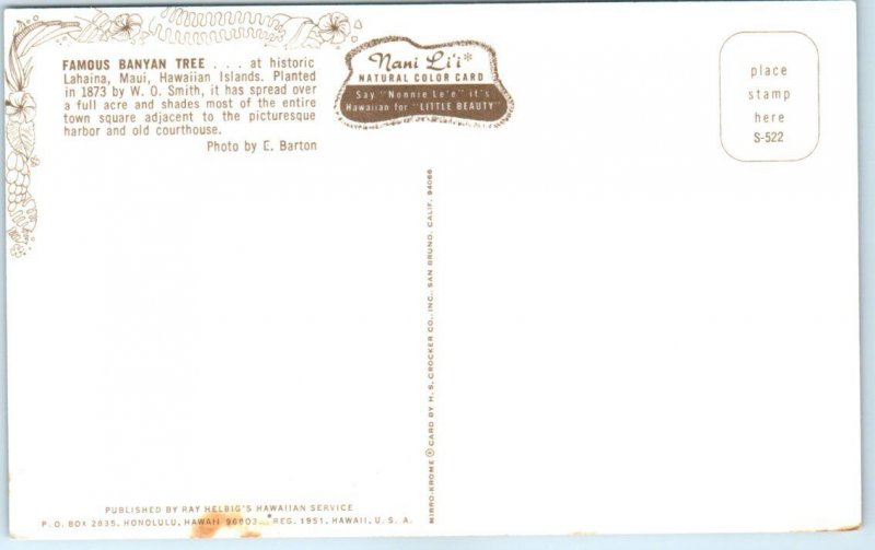 Postcard - Famous Banyan Tree at historic Lahaina, Maui - Lahaina ...